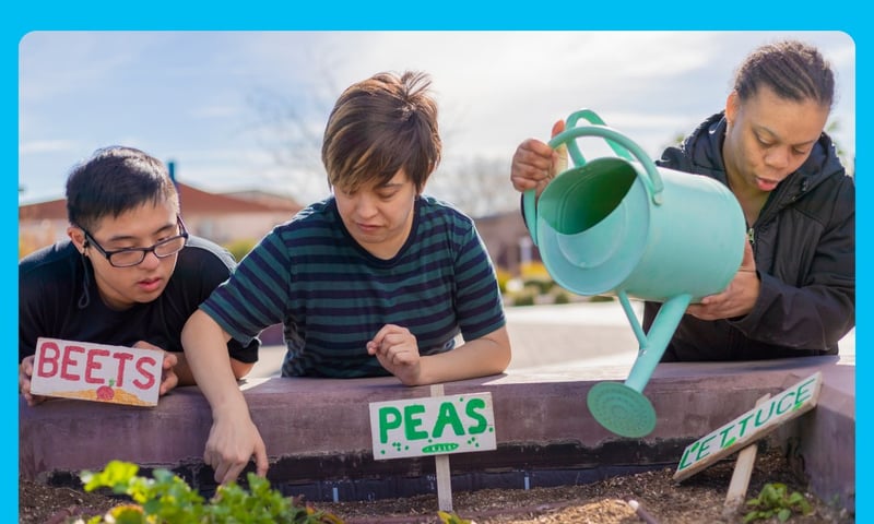 Imago Community Jobs | CharityJob